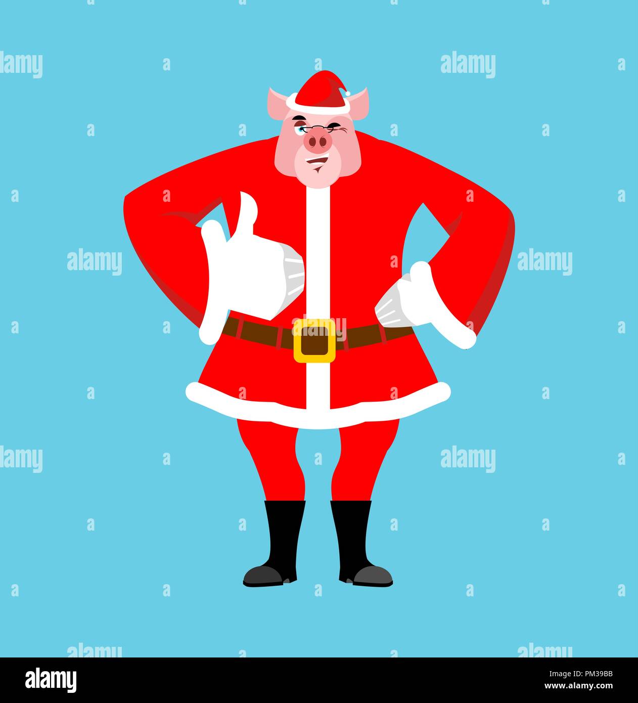 Santa Pig thumbs up well and winks. Sign all right. Merry Christmas ...