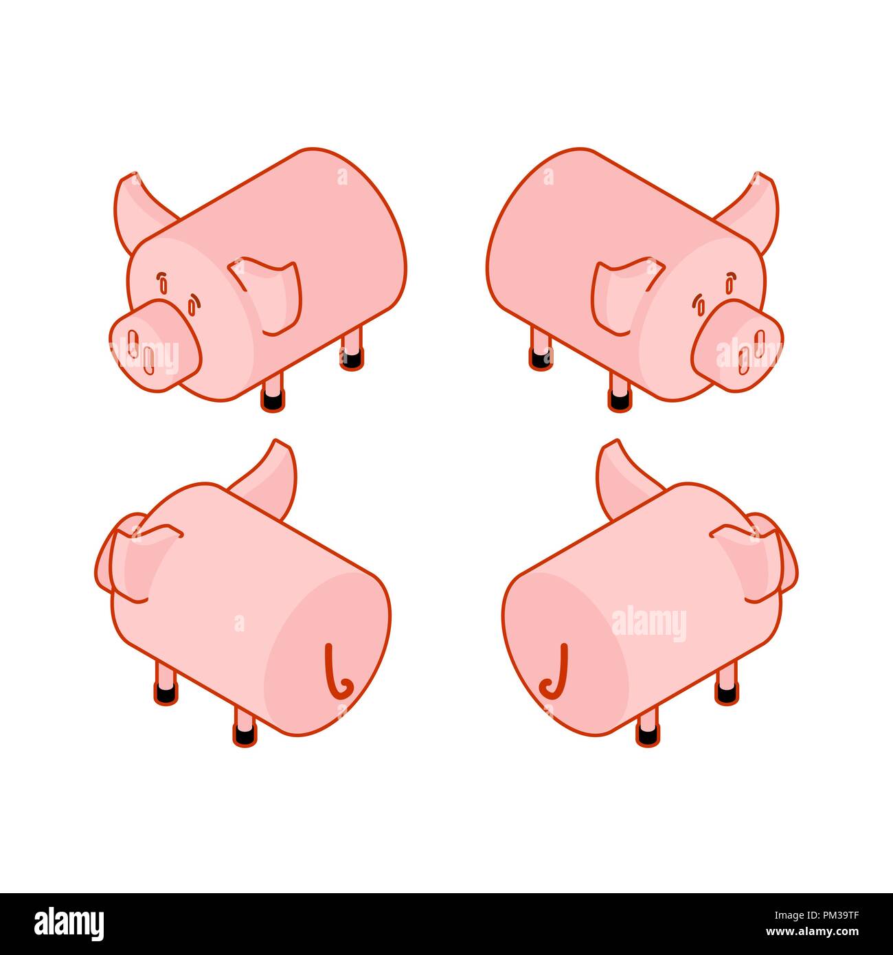 Pig isometric style set. Piggy isometry Farm animal. Vector ... Pig isometric style set. Piggy isometry Farm animal. Vector ...