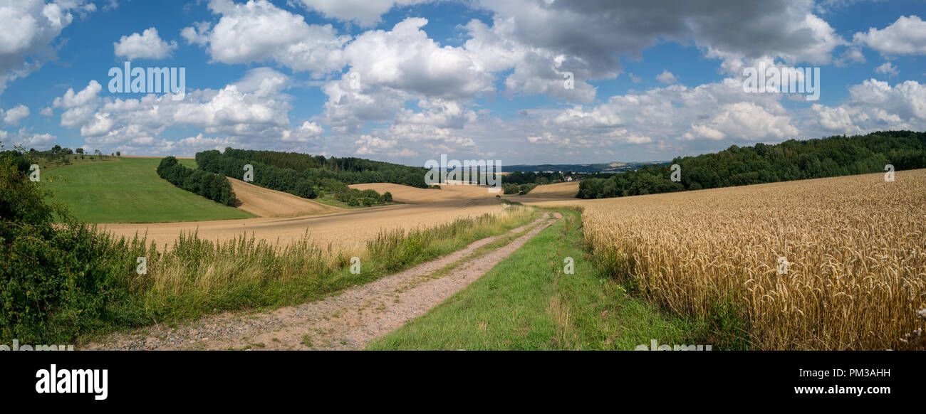 Panorama summer fields Stock Photo - Alamy