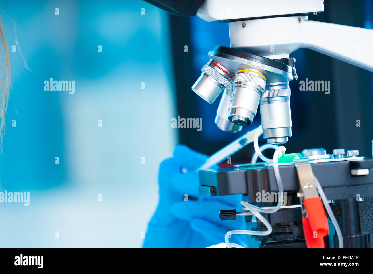 technician girl with microfluidic device LOC in microbiological lab ...