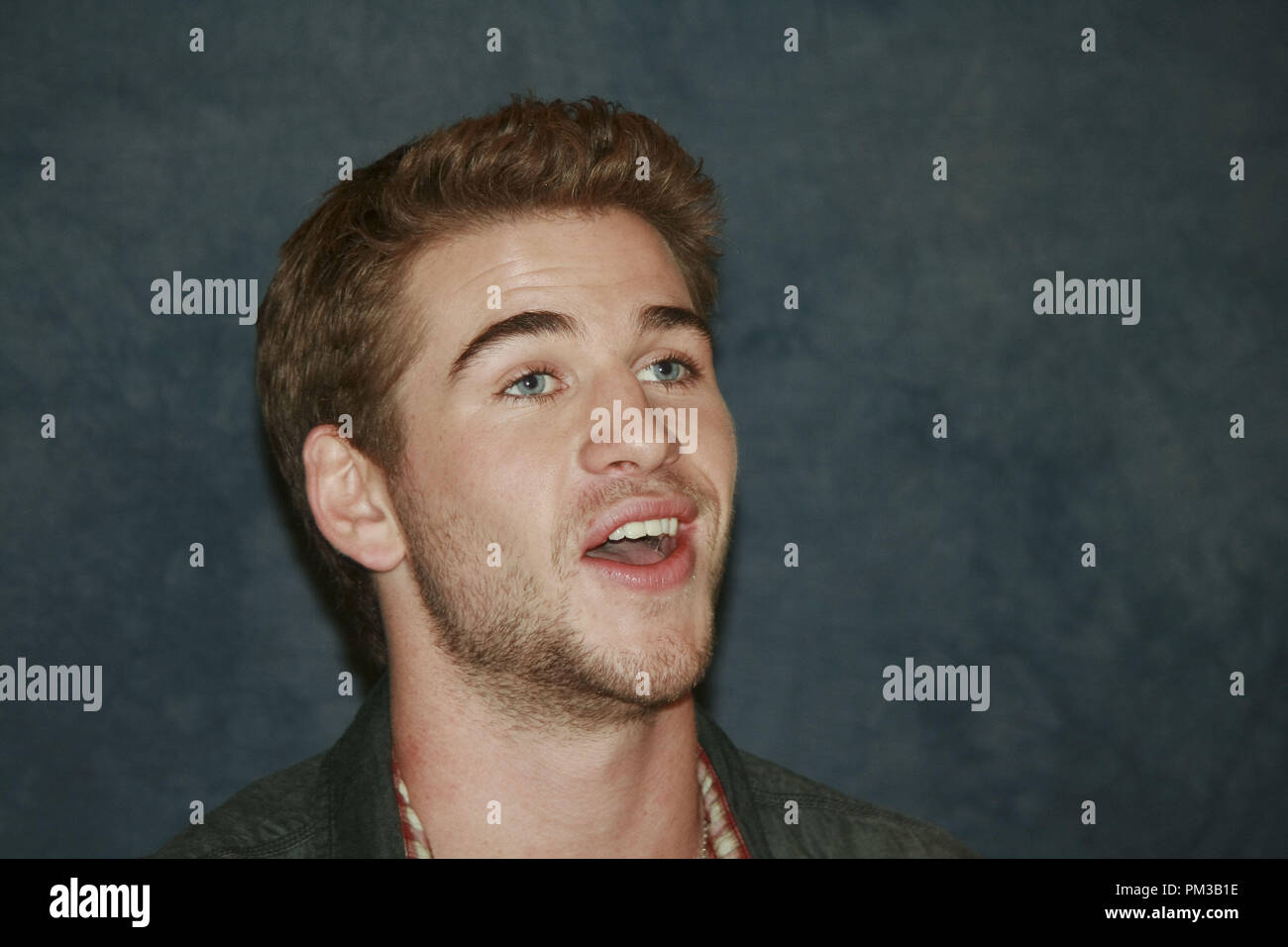 Liam Hemsworth, "The Last Song" Portrait Session, March 13, 2010 ...