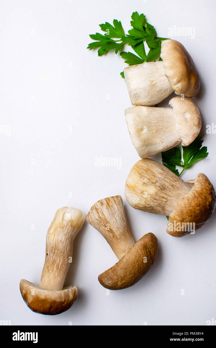Autumn Cep Mushrooms, with parsley green Ceps Boletus edulis, isolated ...