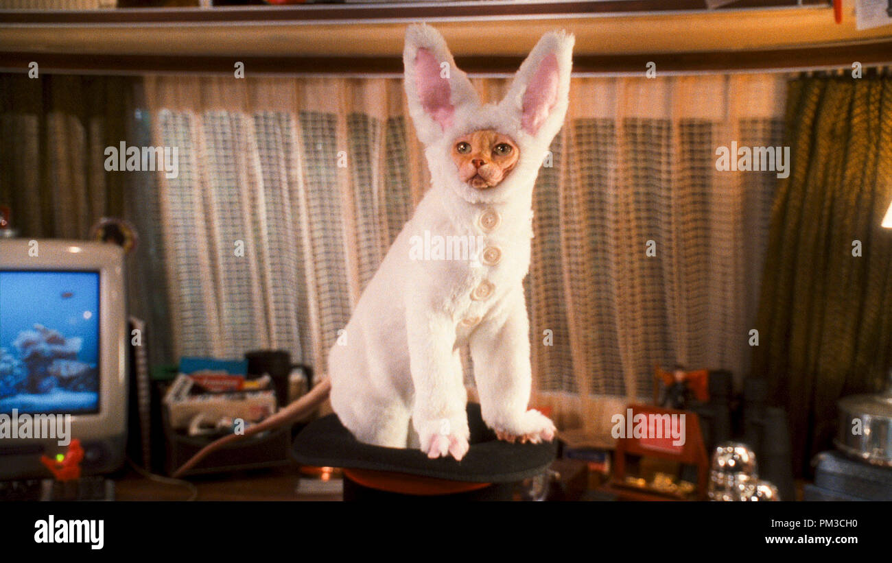 KITTY GALORE, voiced by BETTE MIDLER in Warner Bros. Pictures’ and ...