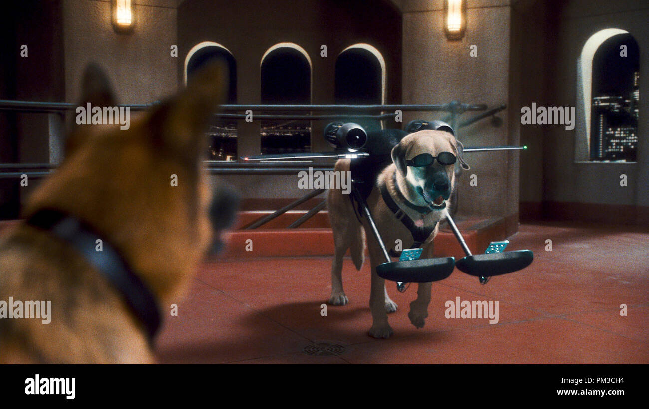 Cats And Dogs Movie Butch