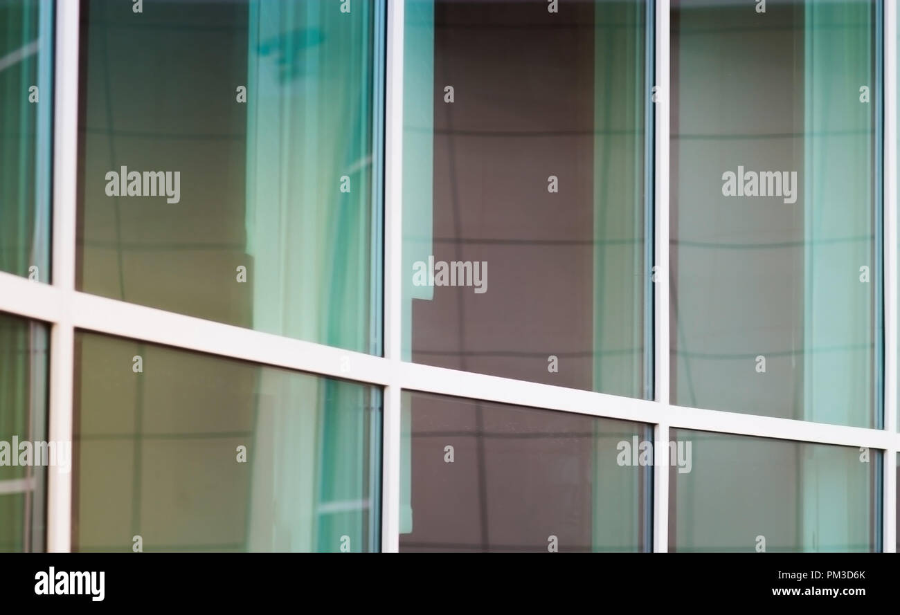 successful woman leader looks out the window of his personal office ...