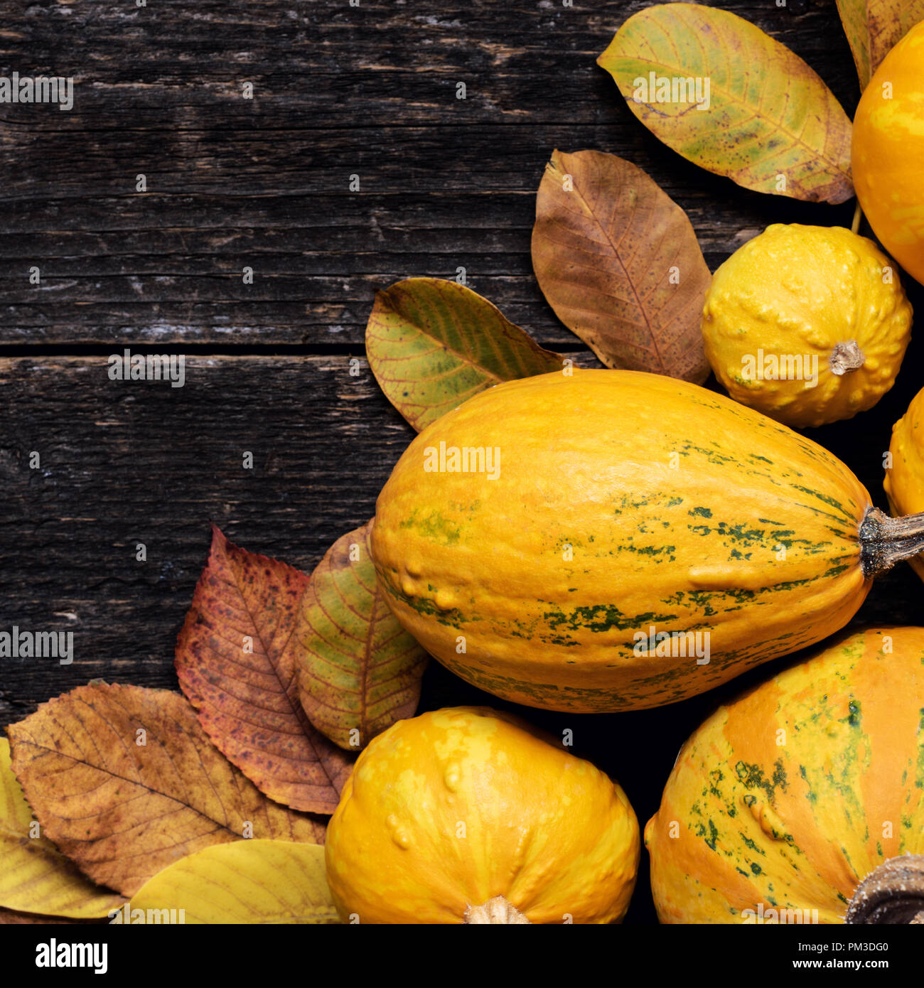 Happy Thanksgiving Background. Autumn Harvest and Holiday border ...