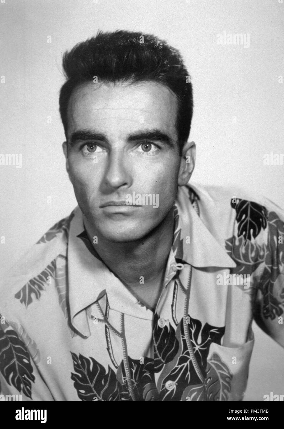 Studio Publicity Still: Montgomery Clift, 1953. File Reference # 30732 ...