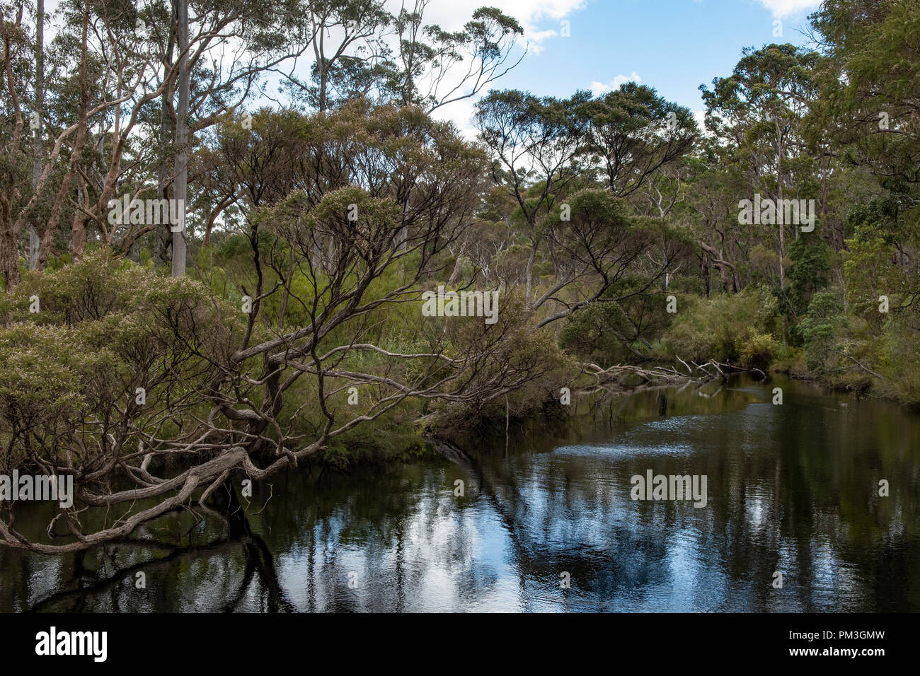 Deep River, Mt Frankland National Park, WA, Australia Stock Photo - Alamy