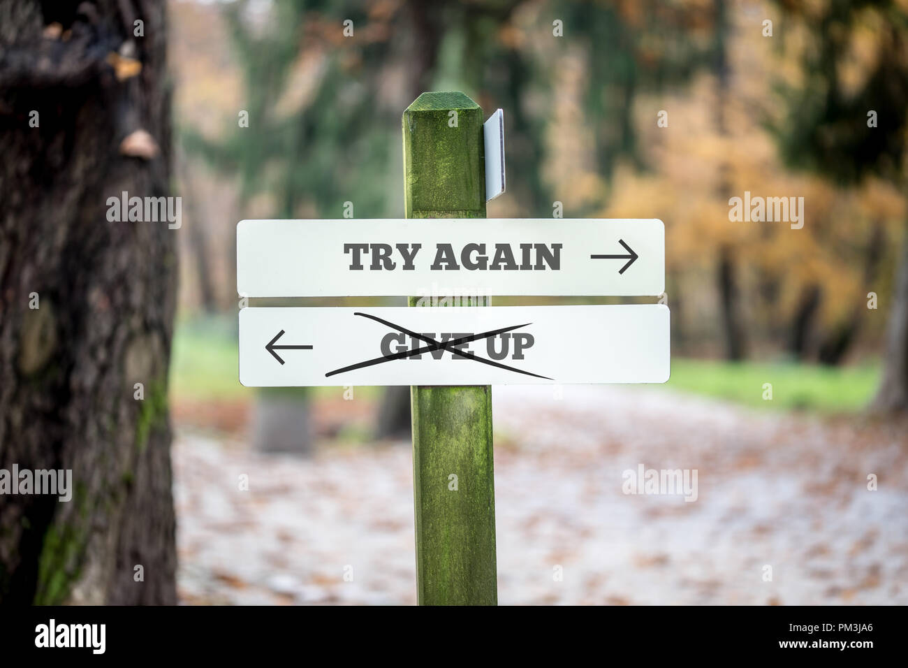 Text words saying slogan hi-res stock photography and images - Alamy