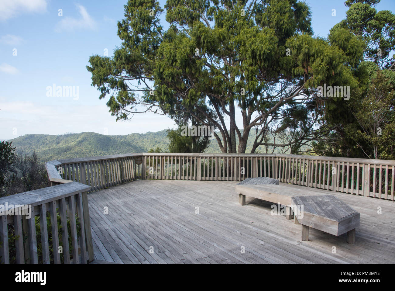 Elevated view from lookout over the Waitakere Ranges in Auckland, New ...