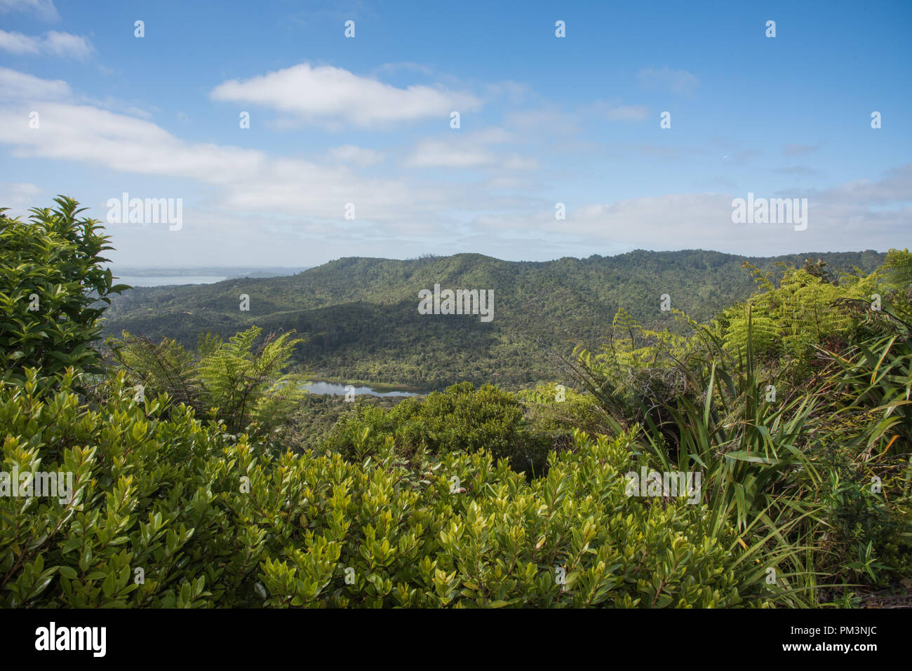 Majestic mountain forest view of the Waitakere Ranges under a blue sky ...