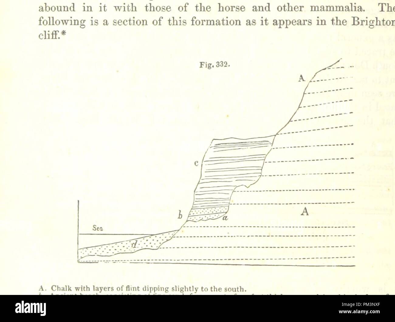 Image from page 314 of '[A Manual of Elementary Geology. . Third and ...