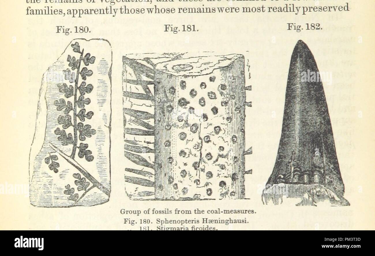 Image from page 372 of '[An Elementary Course of Geology, Mineralogy ...