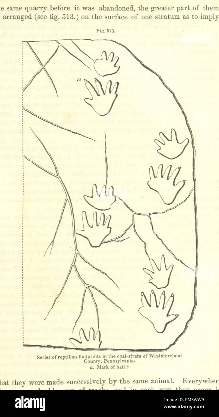 Image from page 429 of '[A Manual of Elementary Geology. . Third and ...