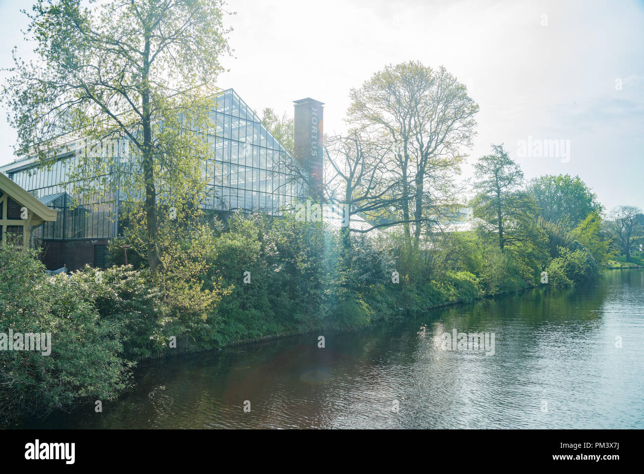 Hortus botanicus leiden hi-res stock photography and images - Alamy