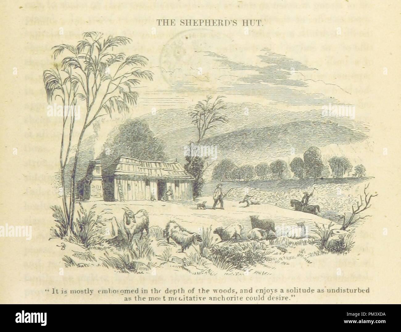 Image from page 451 of 'Adventures of a Gold-Digger . Illustrated, etc ...