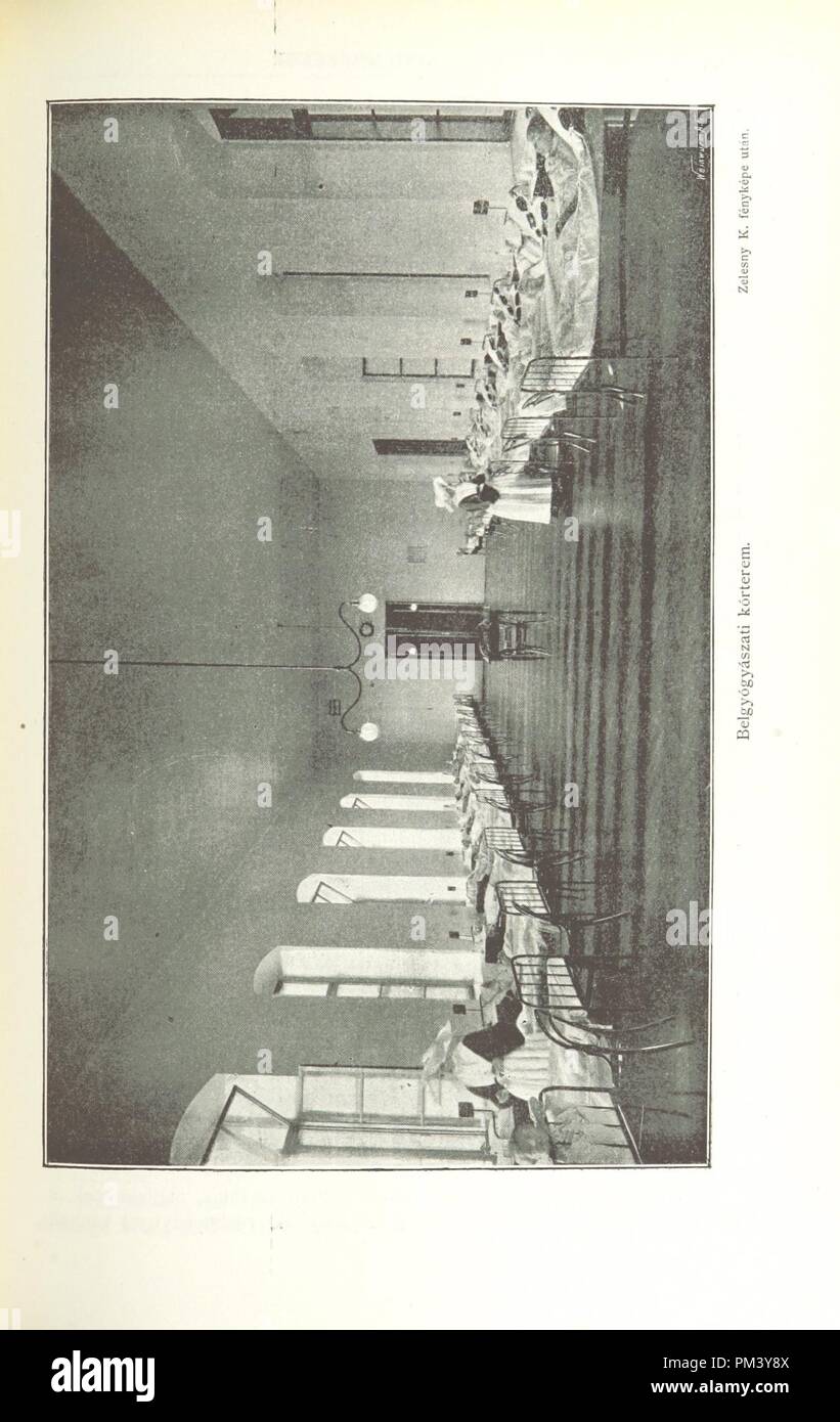 Image from page 491 of 'Baranya multja és jelenje. [With illustrations ...