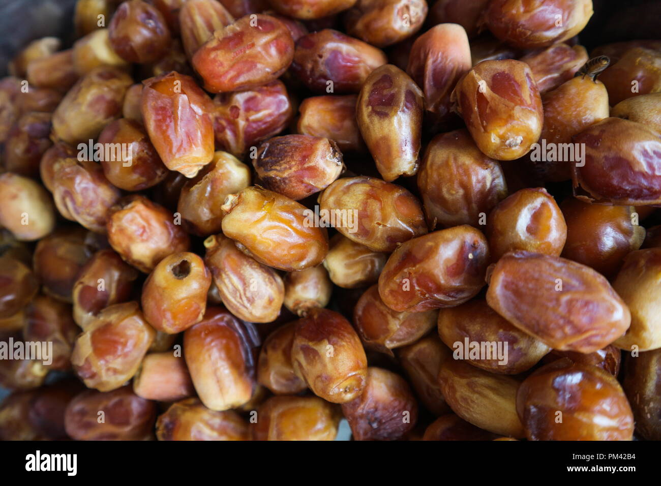 Khalas date palm in top view flat lay with close up view Stock Photo ...