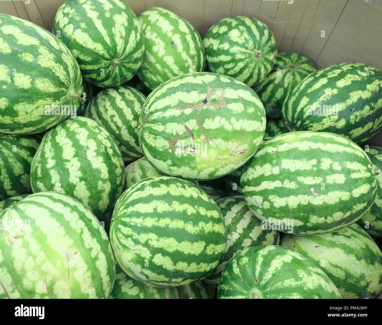 Big pile of ripe watermelons Stock Photo - Alamy