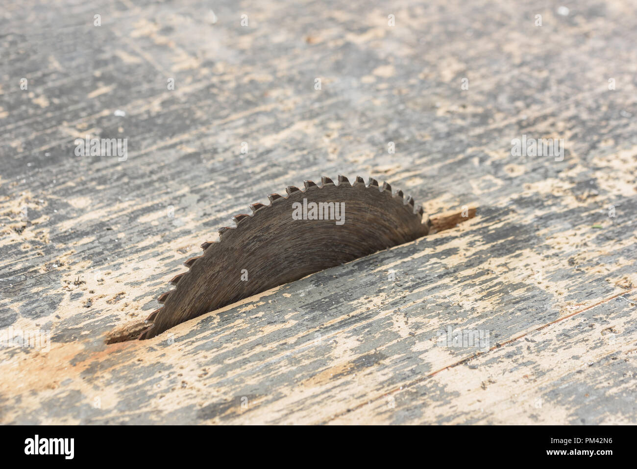 Circular saw on wooden background. Table with sawmill disc Stock Photo ...