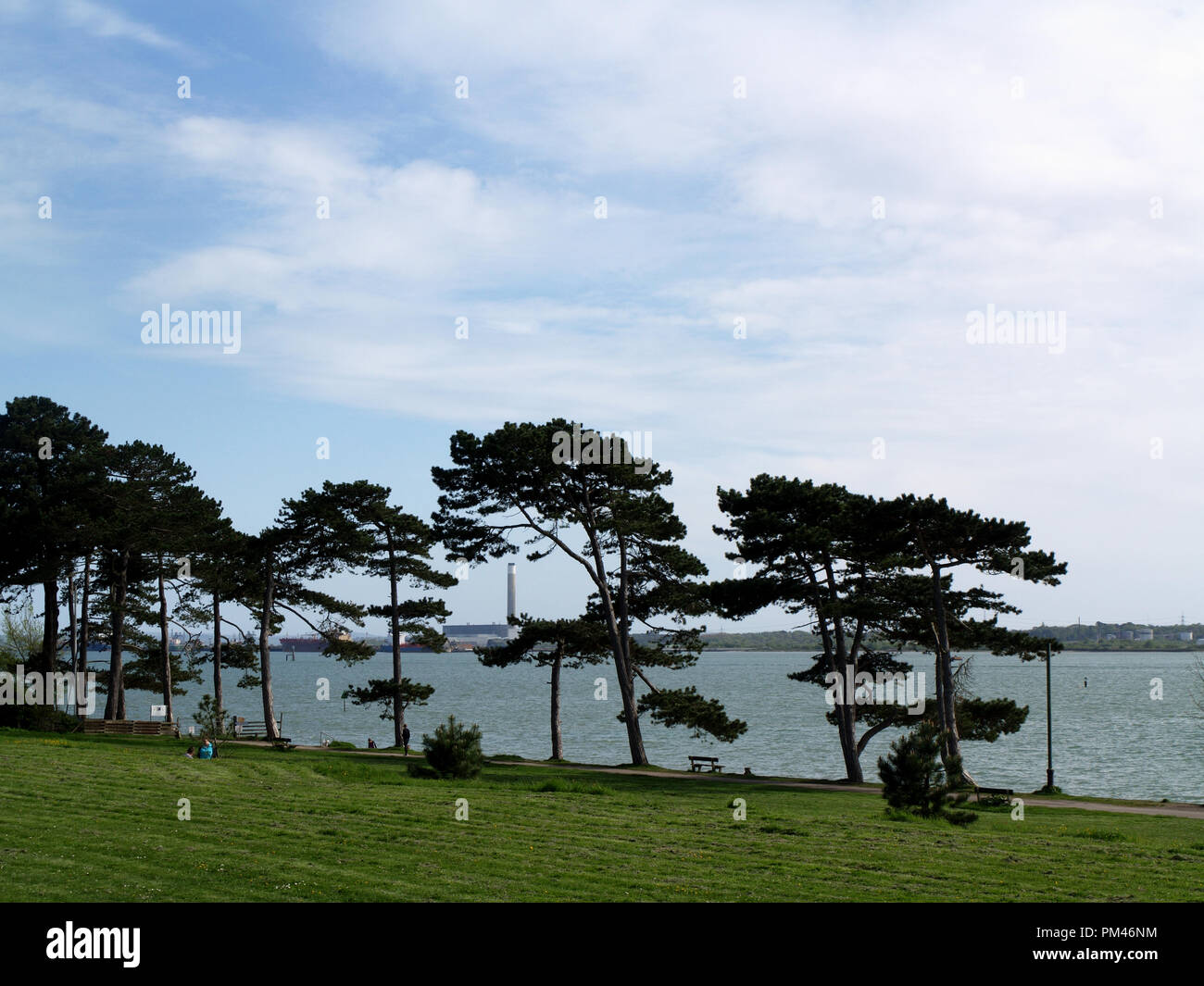 Trees along shoreline at Royal Victoria Country Park, Netley Abbey ...