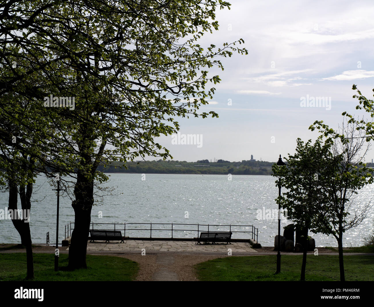 Trees along shoreline at Royal Victoria Country Park, Netley Abbey ...