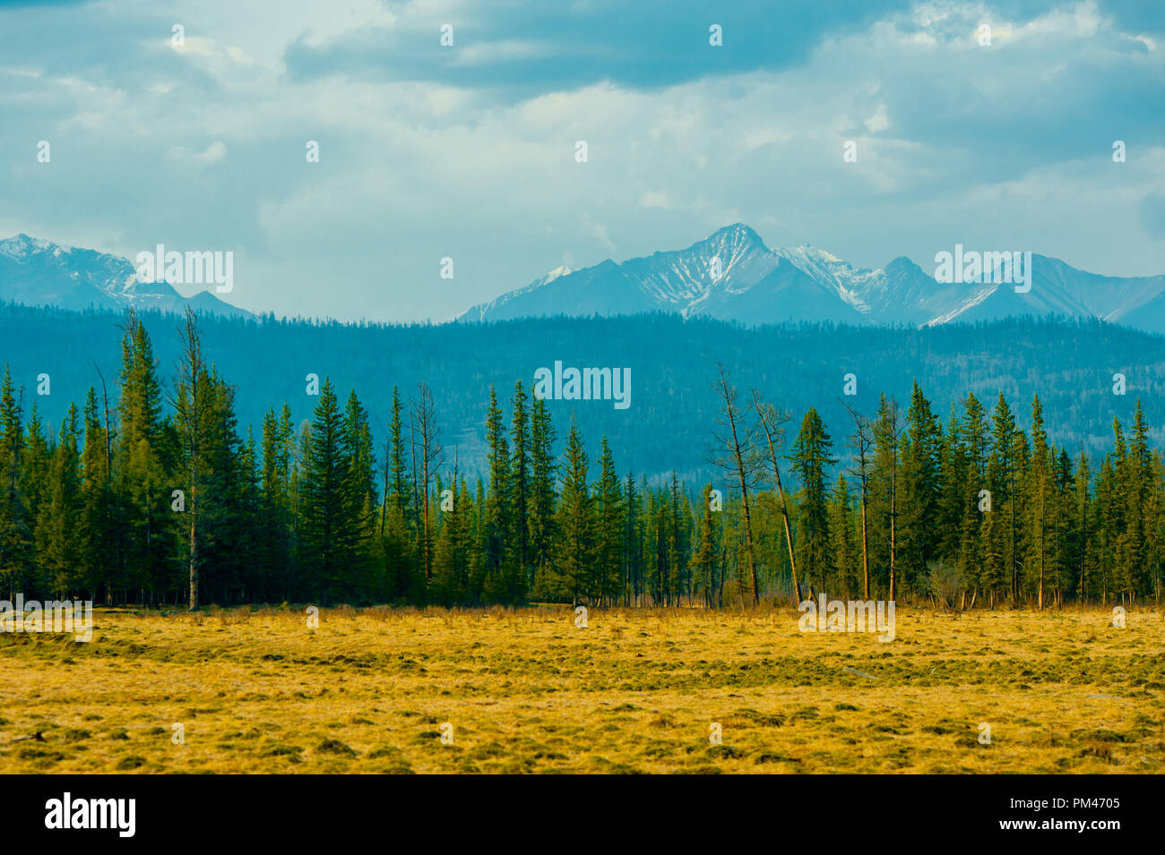Beautiful spring landscape of the Western Sayan mountains Stock Photo ...