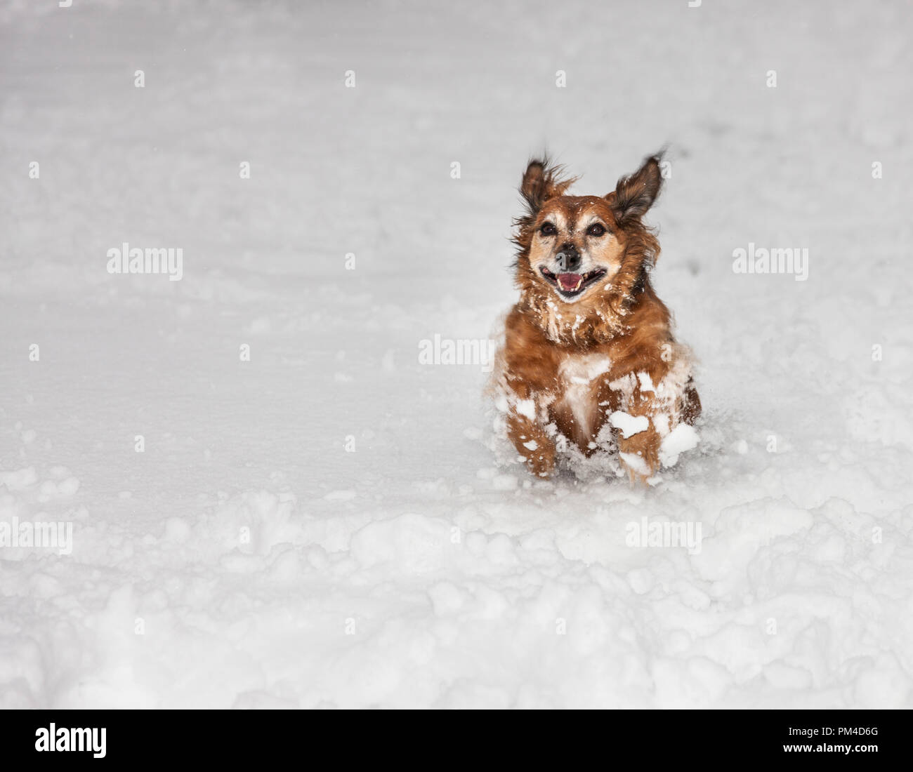 Carrigaline community park hi-res stock photography and images - Alamy