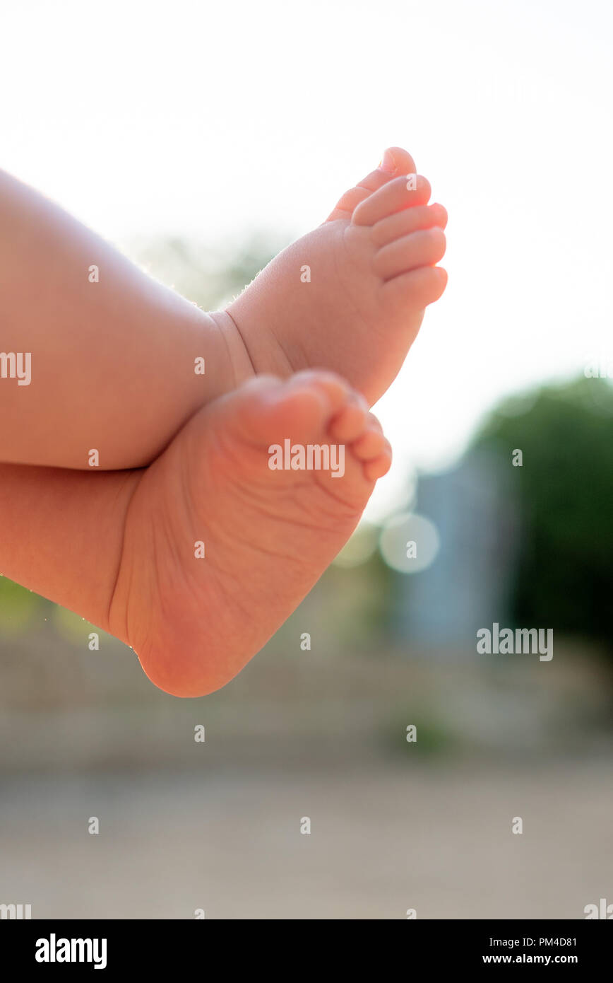 Human foothuman leg hi-res stock photography and images - Alamy