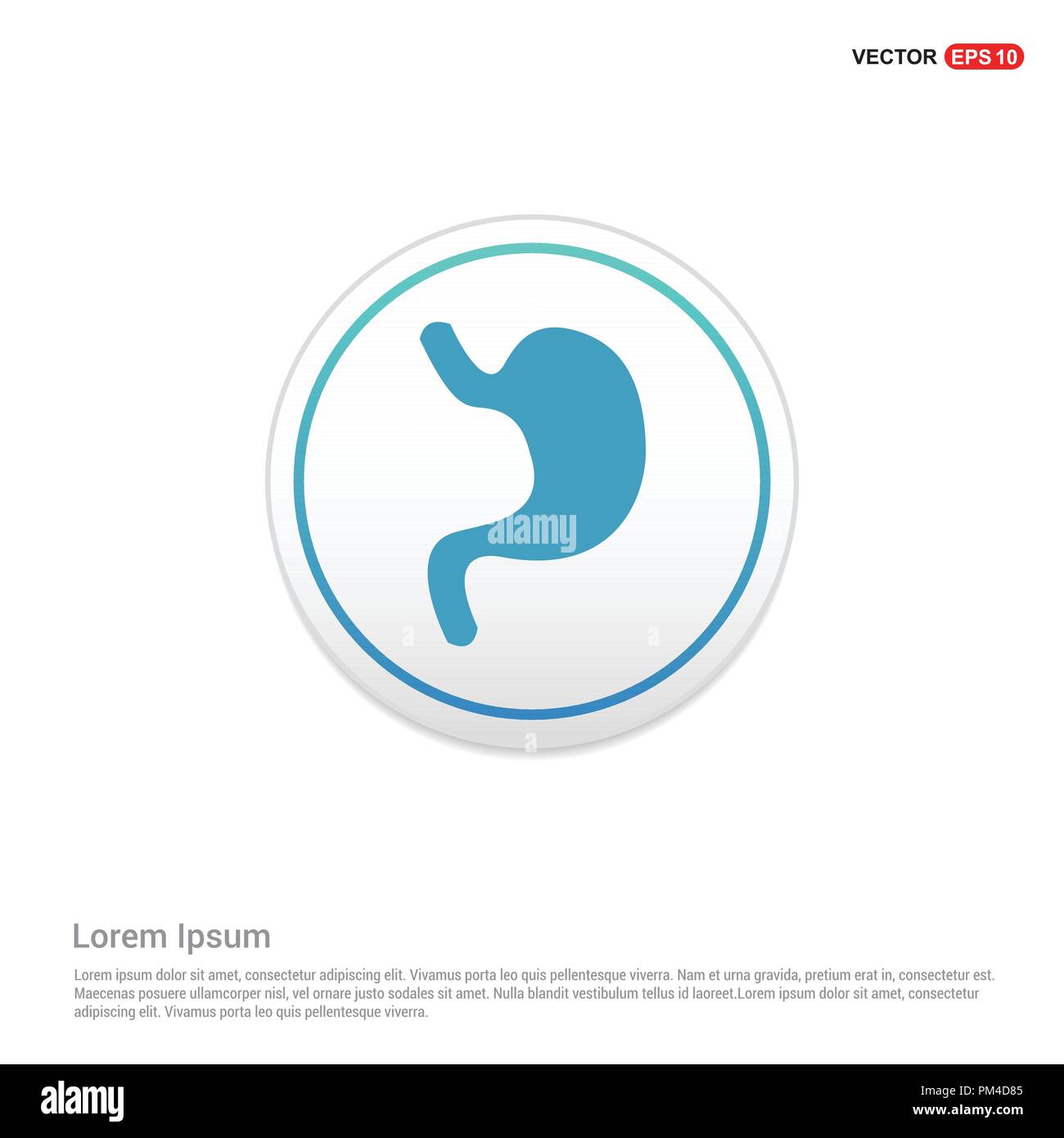 stomach icon - white circle button Stock Vector Image & Art - Alamy