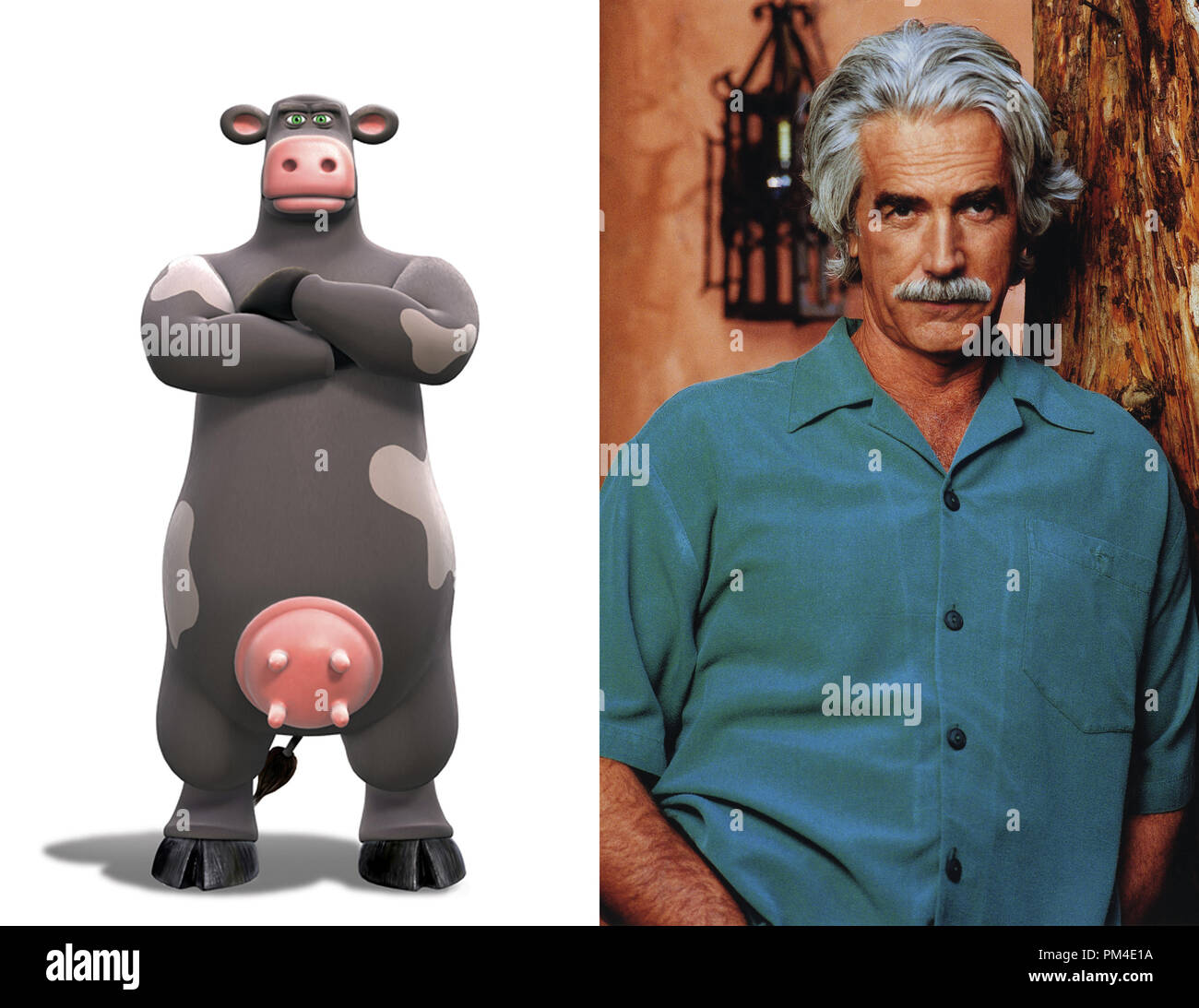 Only cow hi-res stock photography and images - Alamy