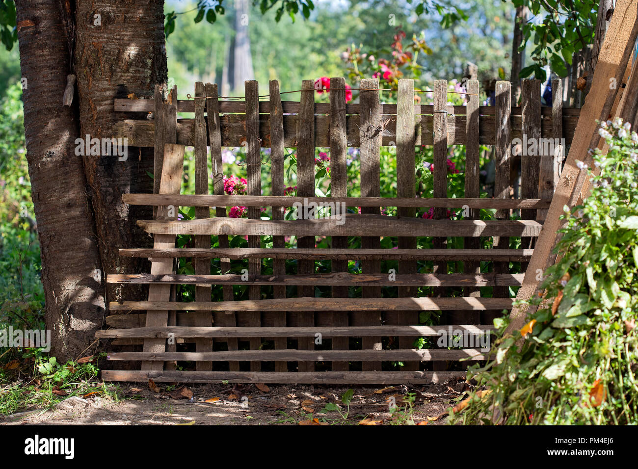 Fence, one tree and flowers on the country side - Romania Stock Photo ...