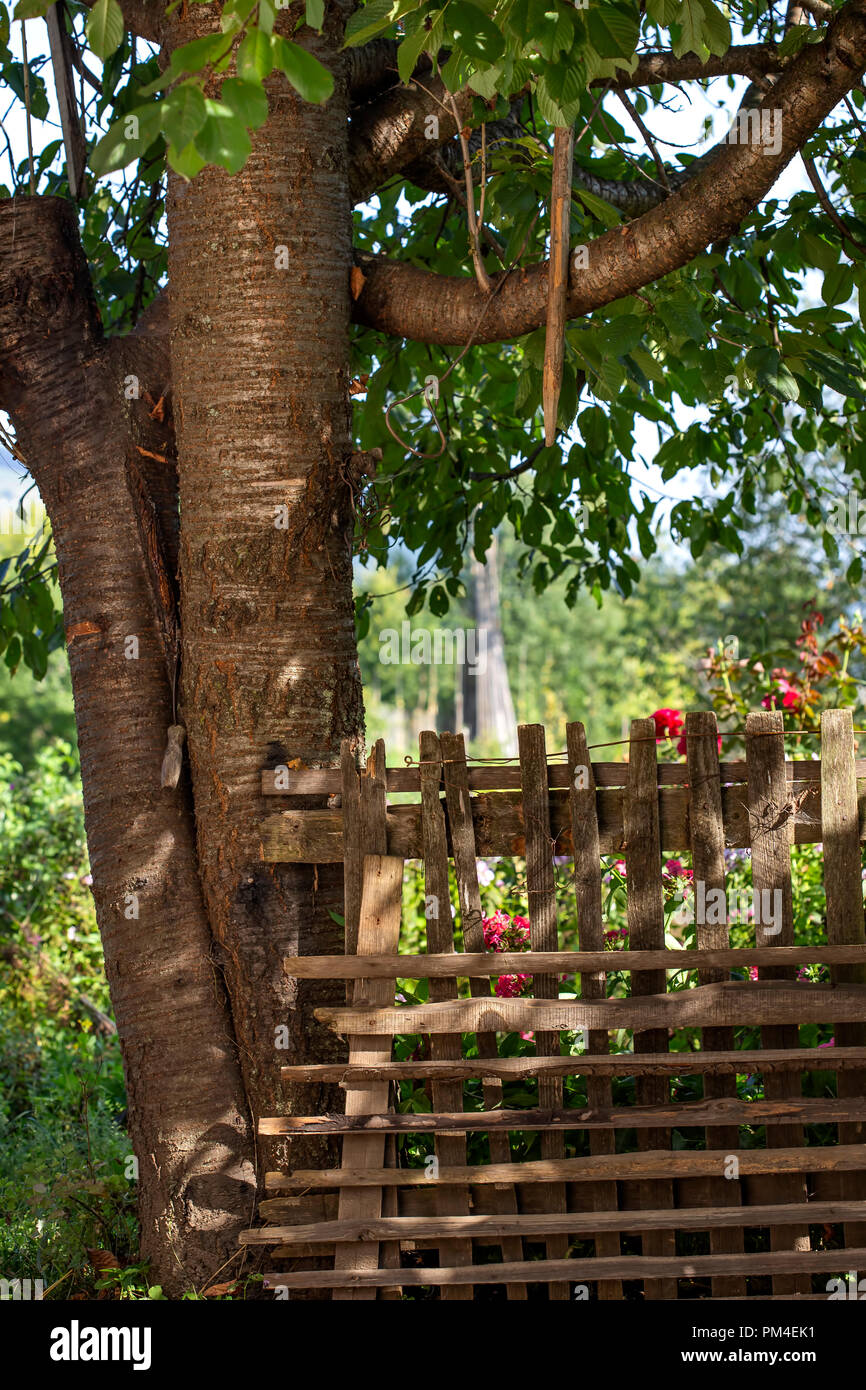 Fence, one tree and flowers on the country side - Romania Stock Photo ...