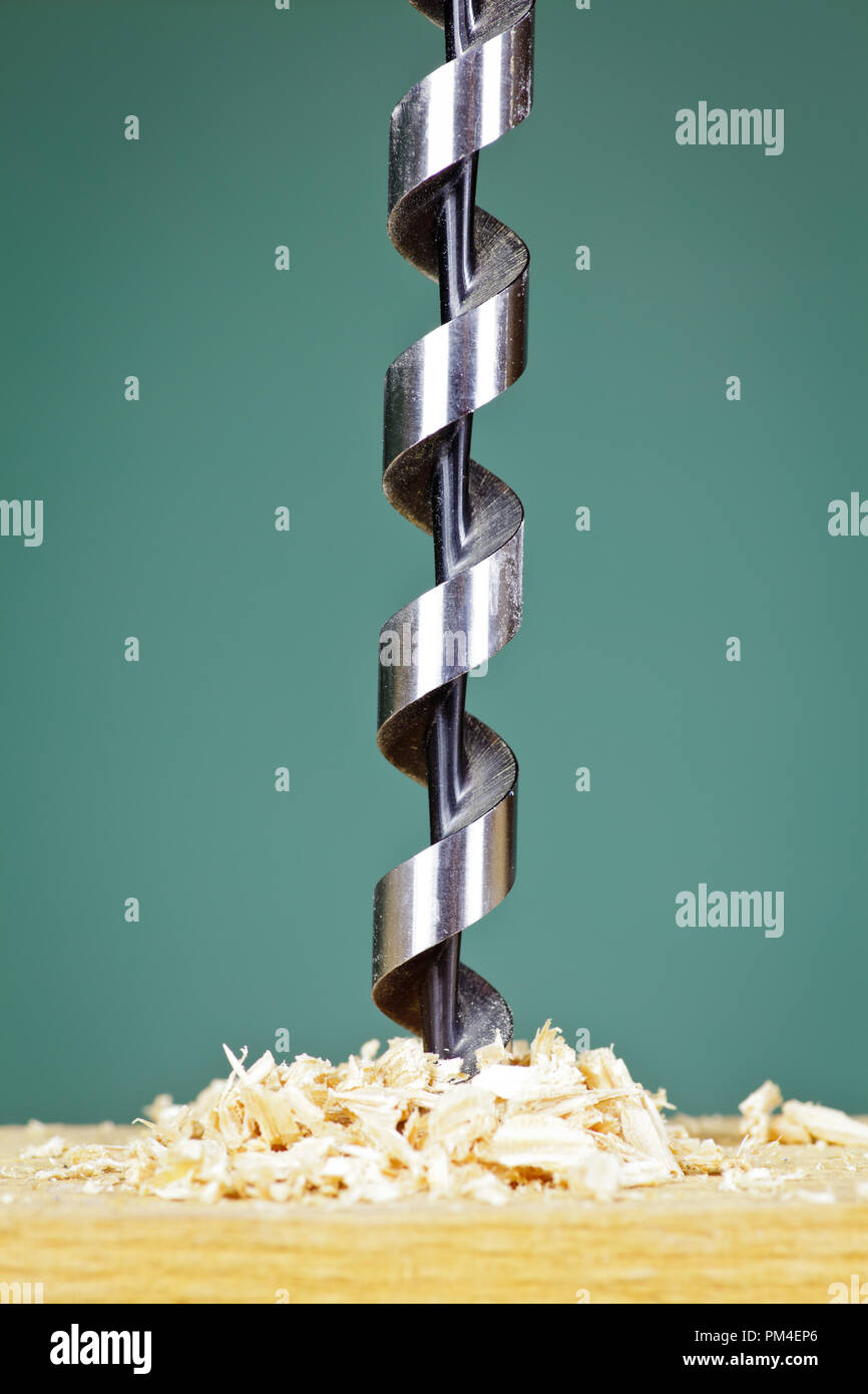 Wood drill bit with shaving Stock Photo - Alamy