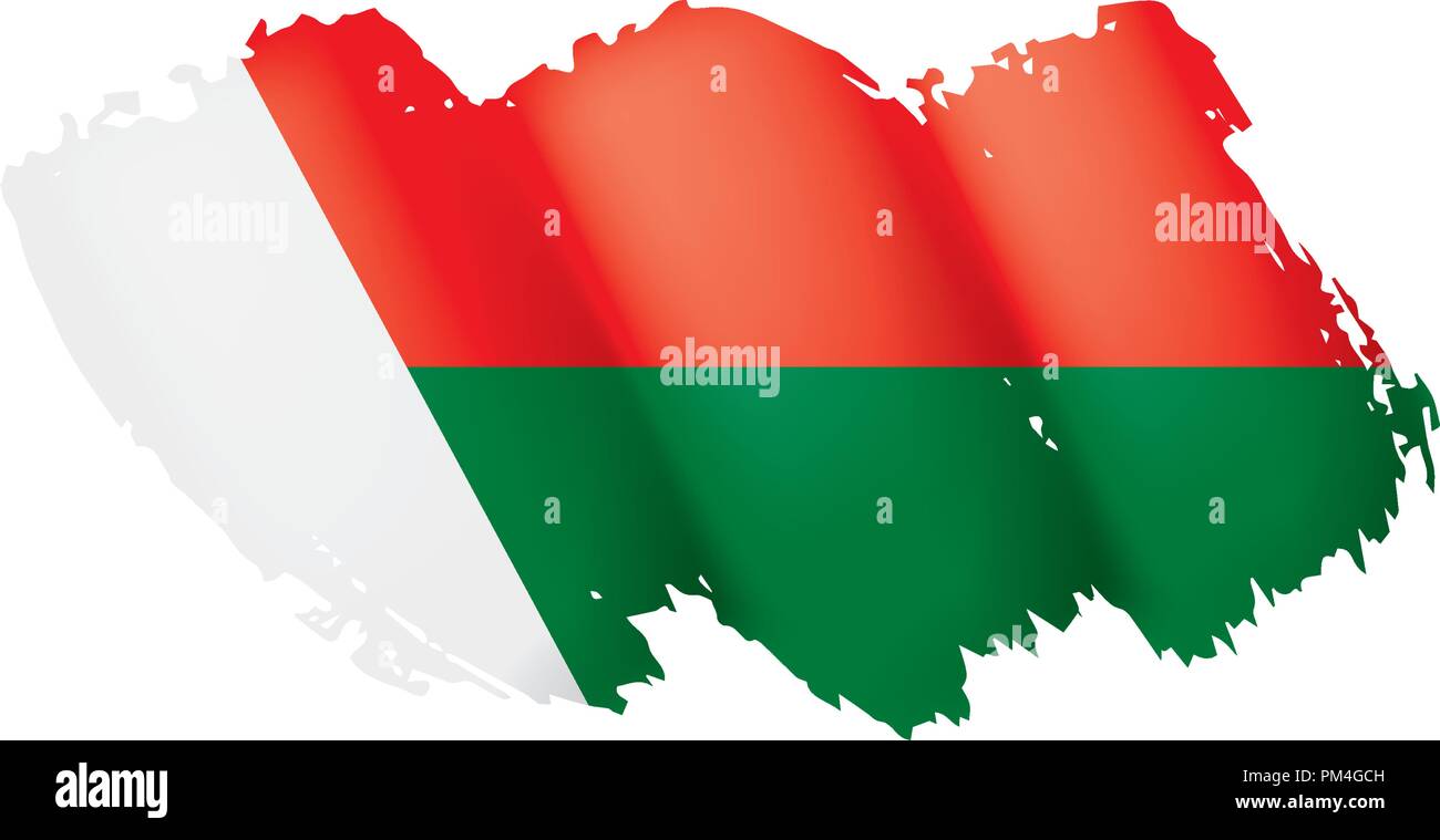 Madagascar flag, vector illustration on a white background Stock Vector ...
