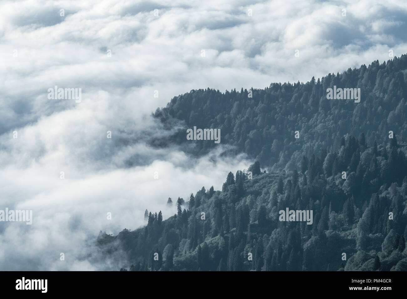 Mythic landscape hi-res stock photography and images - Alamy