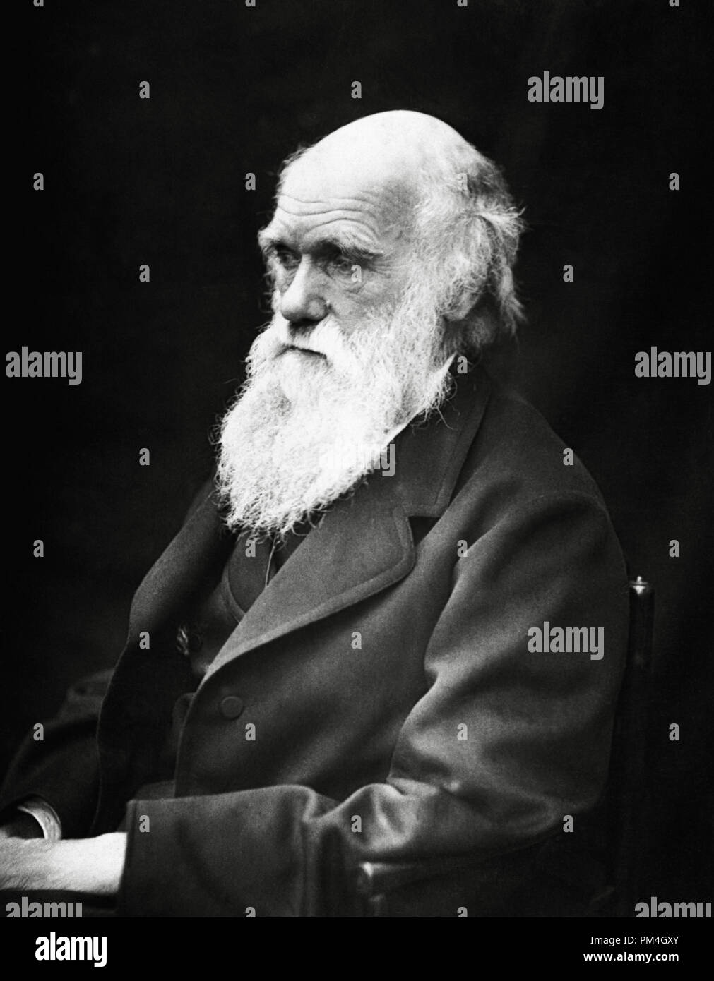 Charles Darwin (1809-1882) in his later years, circa 1869. File ...