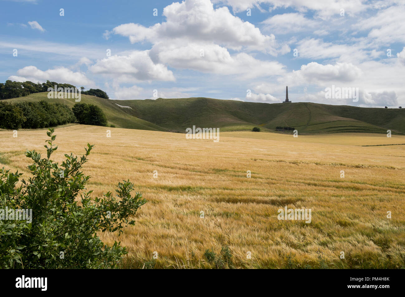 Cherhill monument hi-res stock photography and images - Alamy