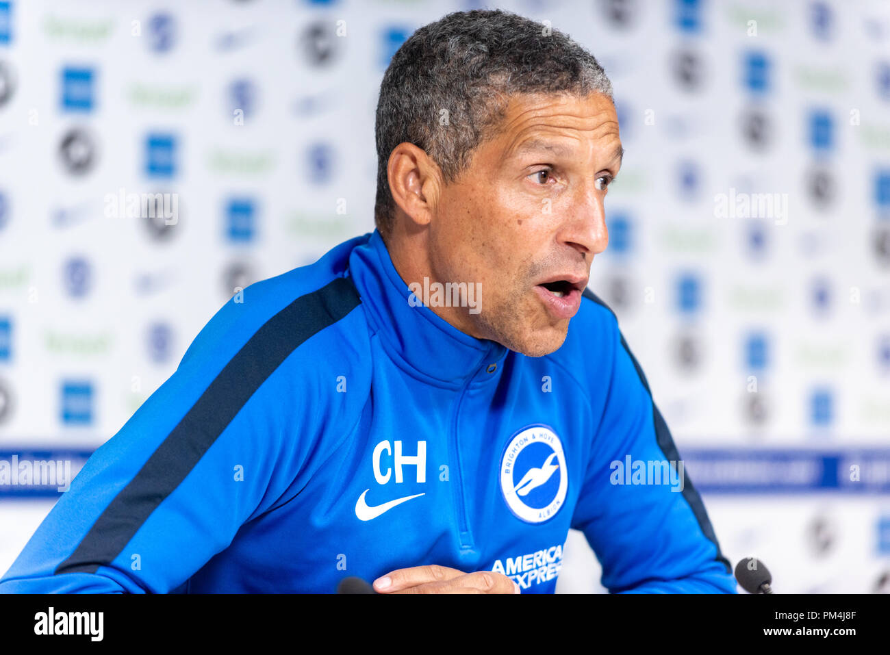 Brighton and Hove Albion FC manager, Chris Hughton Stock Photo - Alamy