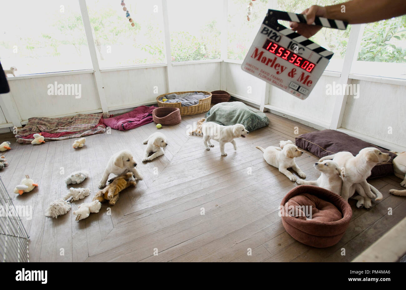 MMKS-298 The various “Marleys” prepare for the next take, on the set of ...