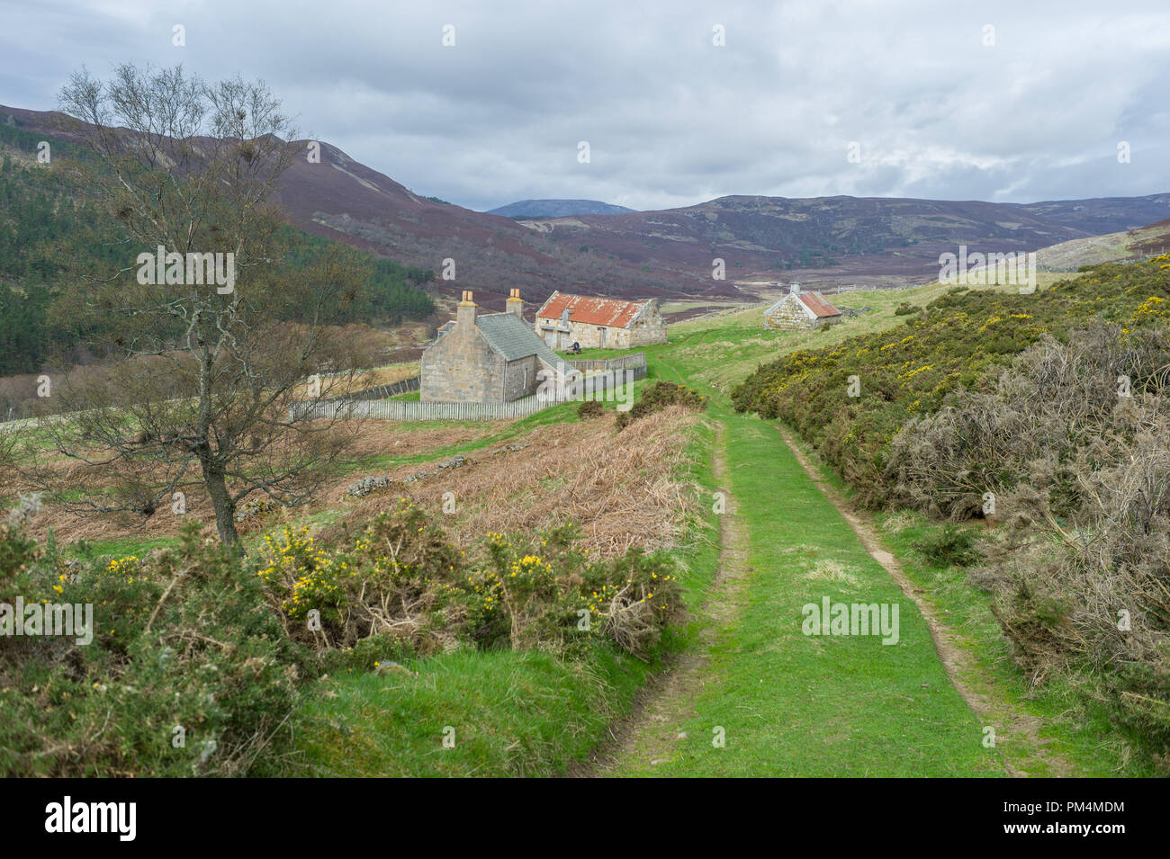 Invercauld estate hi-res stock photography and images - Alamy