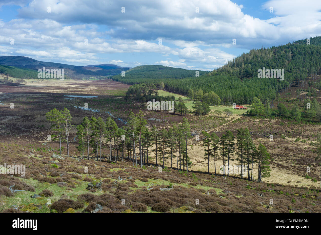Looking up valley towards the Middleton of Aberarder the Felagie Burn ...