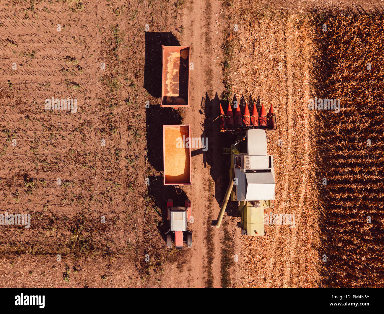 Aerial photography of combine harvester pouring harvested corn kernels ...