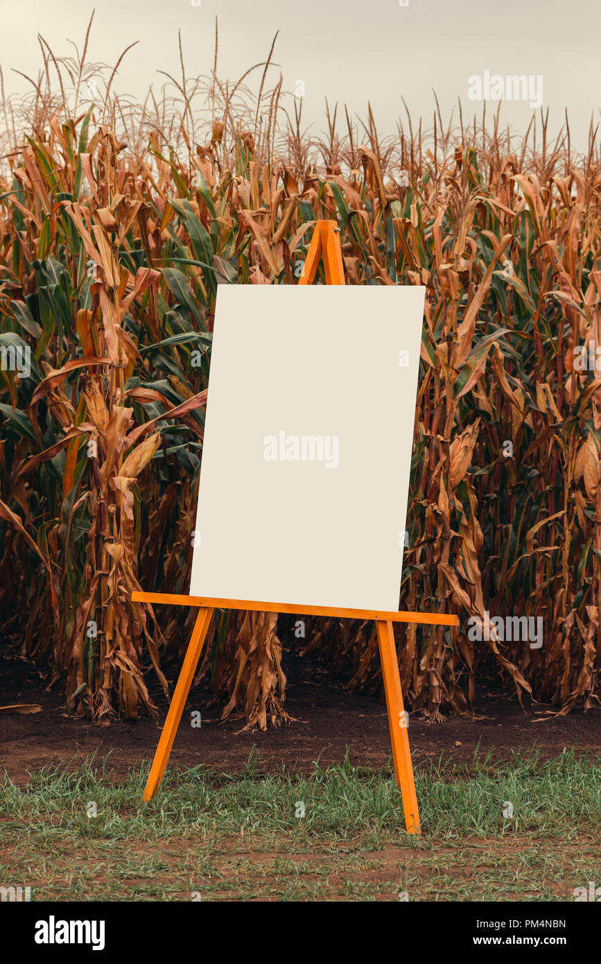 Blank chart hi-res stock photography and images - Alamy