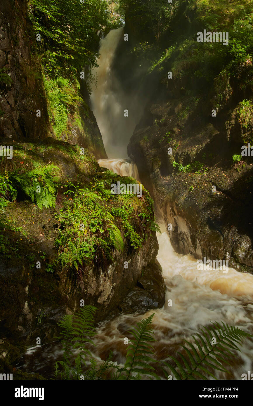 Aira Force waterfall on the Aira Beck, Lake District National Park ...