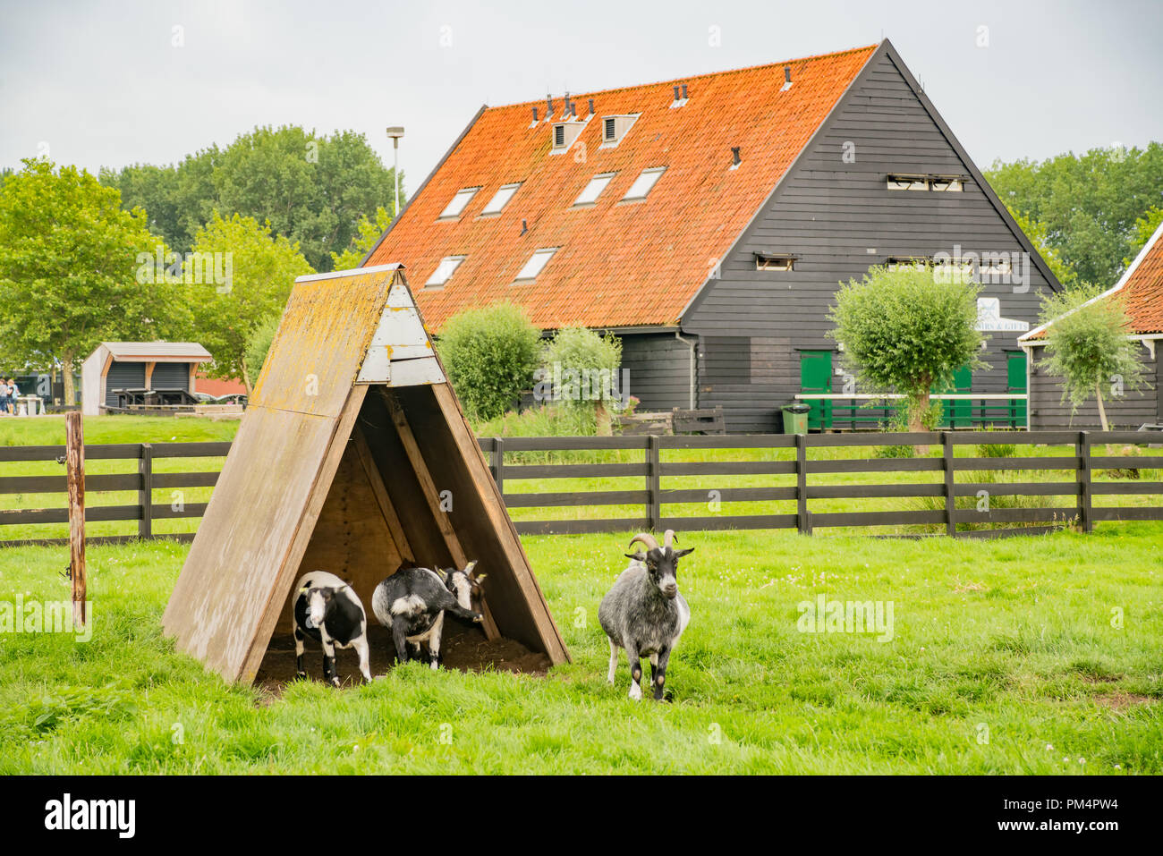 Dutches hi-res stock photography and images - Alamy