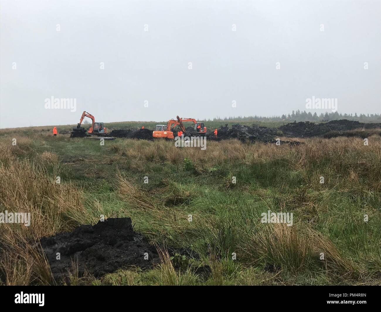A new search begins at Bragan Bog, Co Monaghan for the body of teenager ...