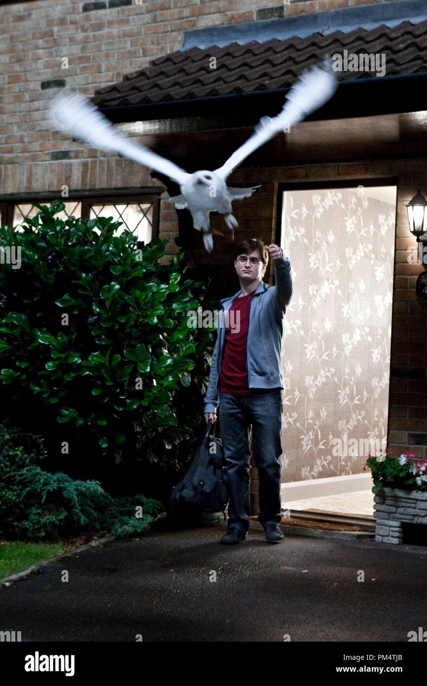 Harry Potter Hedwig Flying