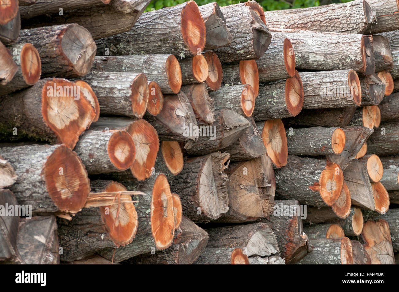 Blue cut fire hi-res stock photography and images - Alamy