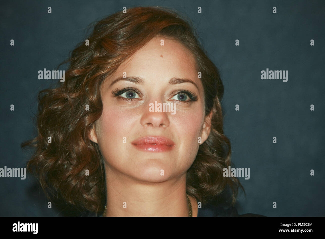 Marion Cotillard Movies